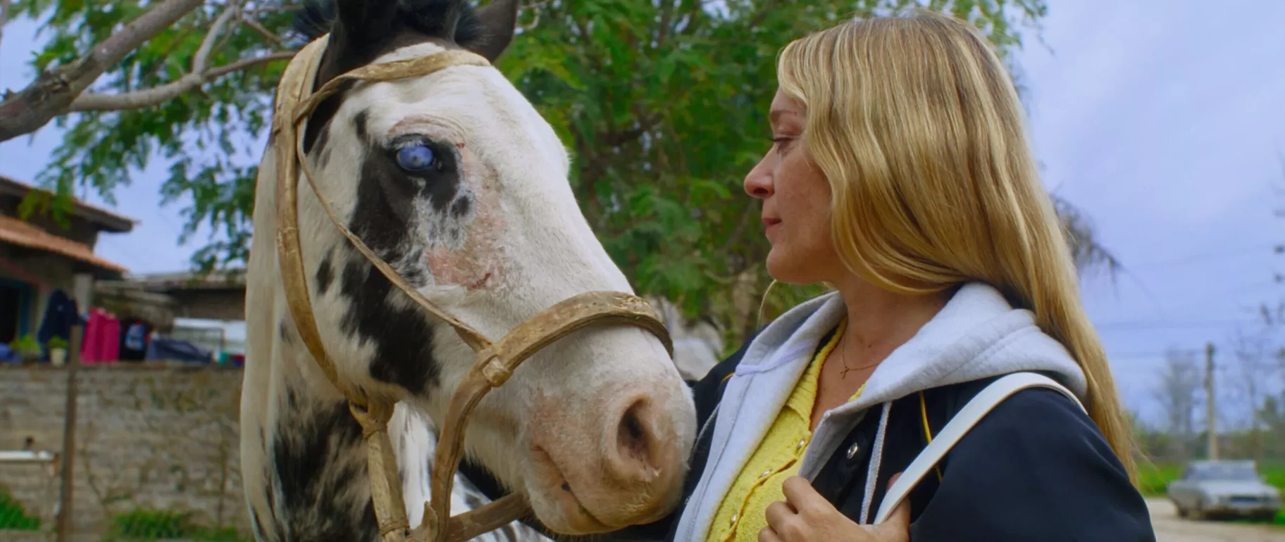 MAGIC FARM - GIFF - Geneva International Film Festival